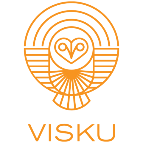 Visku | Protecting, Prolonging and Preserving our Elders' Cognitive ...